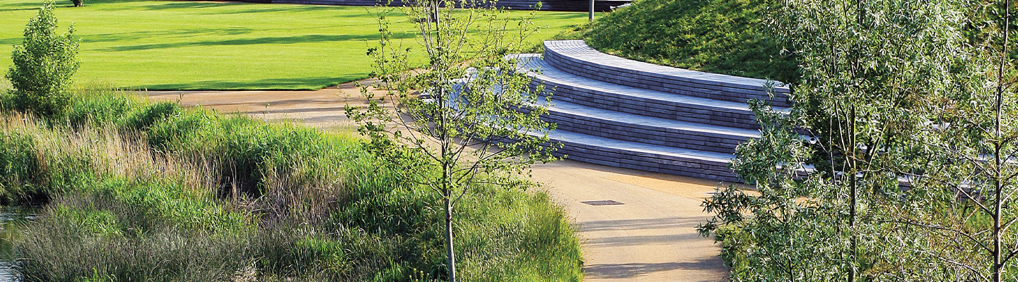 Training: KeySCAPE Planting Design - Transoft Solutions