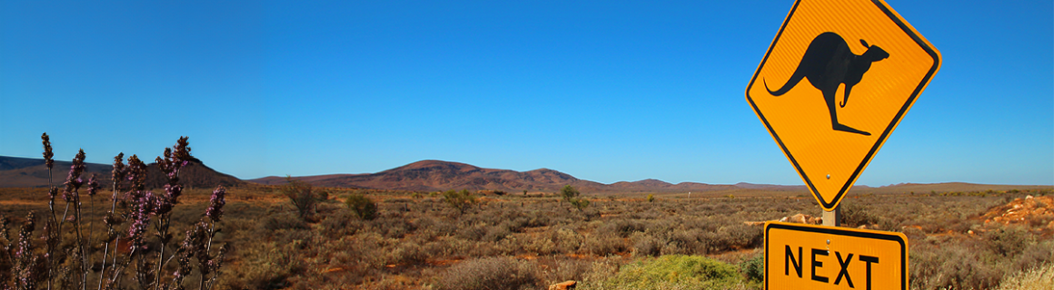 Webinar: GuideSIGN | Your Holistic Approach to Australian Sign Design ...