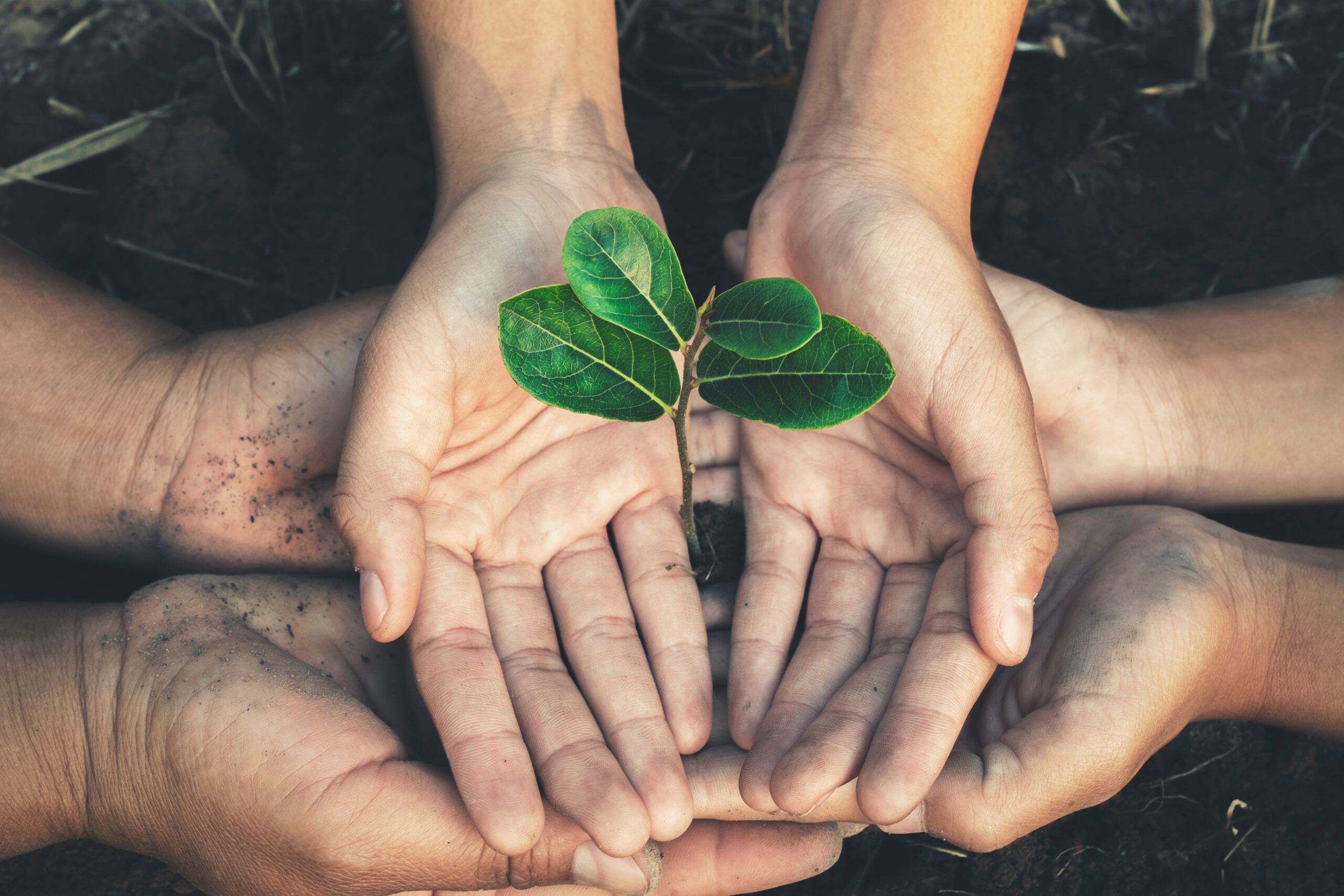 Earth Day and Transoft Solutions' Role in Optimizing Transportation ...