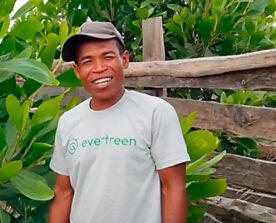 AutoTURN 2024 Release is here - Transoft Solutions News