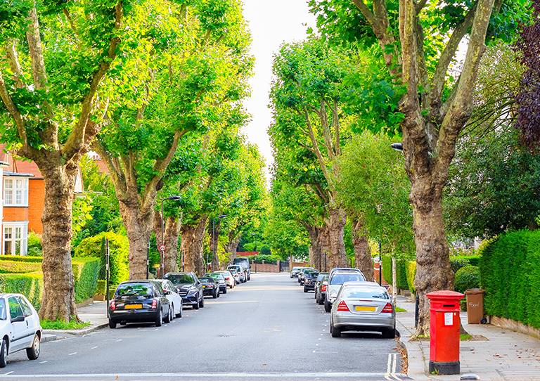 Webinar: How to Create Streetscape Scenes - Transoft Solutions